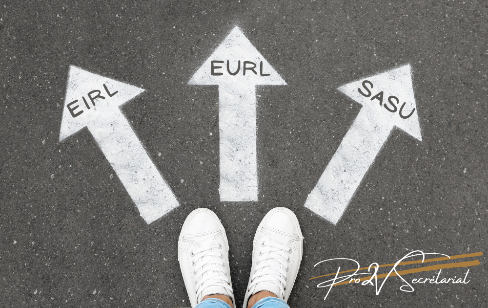 Artisans et PME : EIRL, EURL ou SASU, quel statut choisir ? - Pro2V